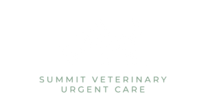 Emergency Vet in Decatur AL - Summit Veterinary Urgent Care