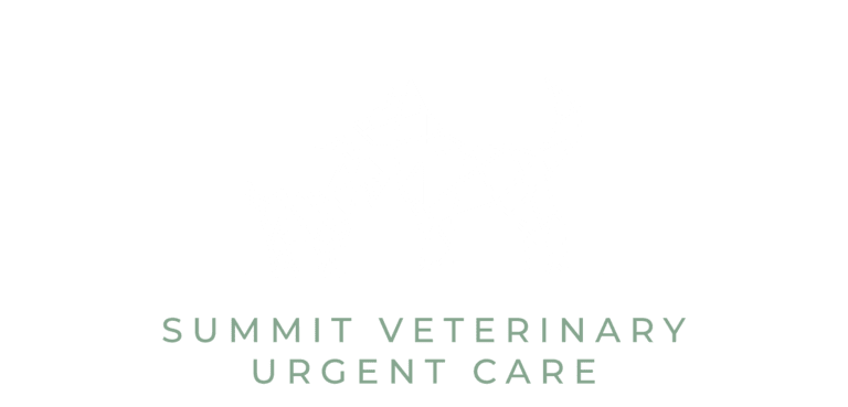 Emergency Vet in Decatur AL - Summit Veterinary Urgent Care